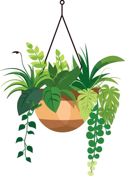 Hanging Flower Pot Plant Pot Illustration Hanging Flower Pot Plant