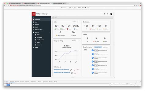 veritas netbackup provides docker container backup techtarget
