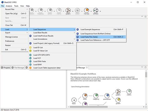 basic transcriptome characterization with blast2go biobam