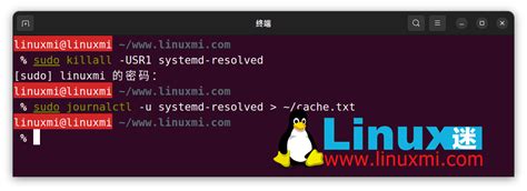 如何在 linux 上查看和刷新 dns 缓存 linux迷