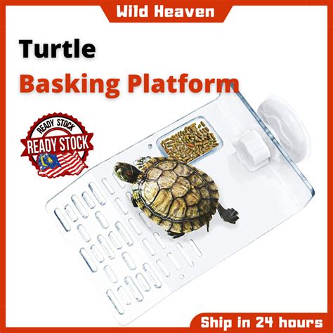Turtle Basking Platform Tortoise Ramp Reptile Tank Ladder Resting