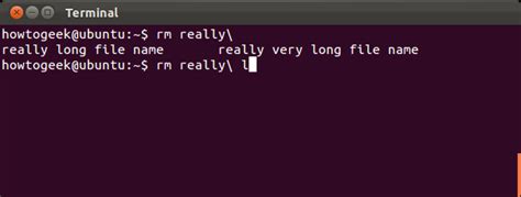 beginner geek how to start using the linux terminal