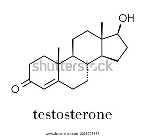 Testosterone Male Sex Hormone Androgen Molecule Stock Vector Royalty