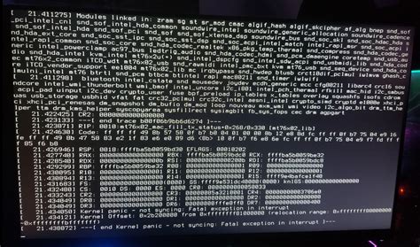 kernel panic not syncing fatal exception in interrupt when trying to