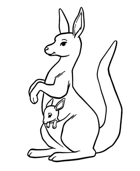 Kangourou Dans La Poche Coloriage Dun Kangourou En Promenade Avec