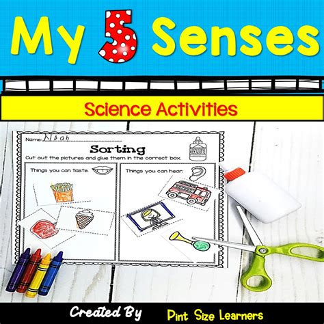 5 Senses Worksheets For Pre K