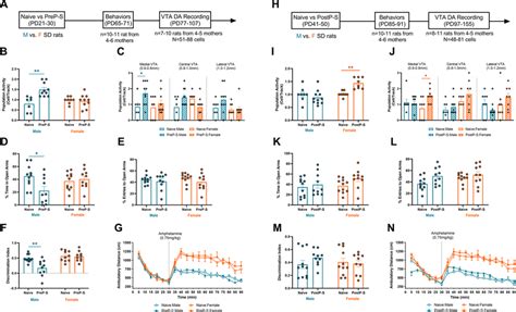 Effects Of Prepubertal Stress Prep S And Postpubertal Stress