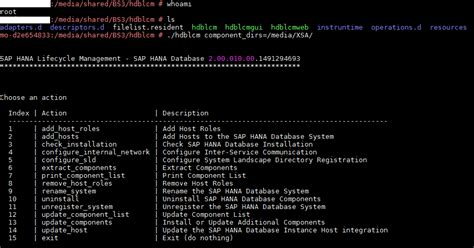dedicated sap hana xs advanced runtime host installation through