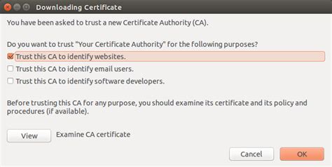 how to generate a self signed root certificate with cf ssl fernando