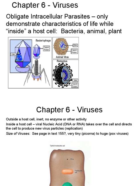 Obligate Intracellular Parasites Only Demonstrate Characteristics Of