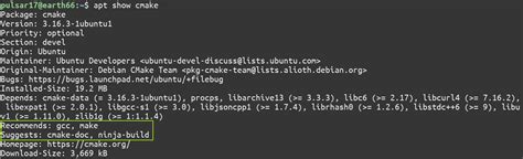 cmake install different version savervvti
