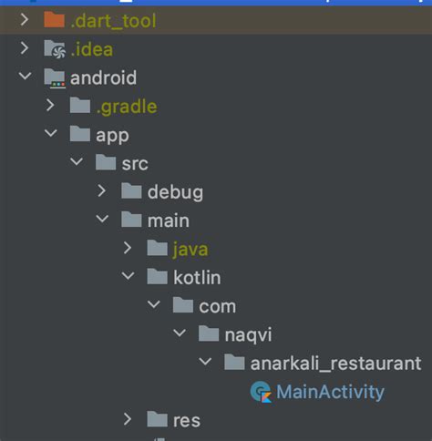 java flutter crashes on startup didn t find class mainactivity on