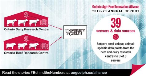 behindthenumbers an enhanced system for research data access and