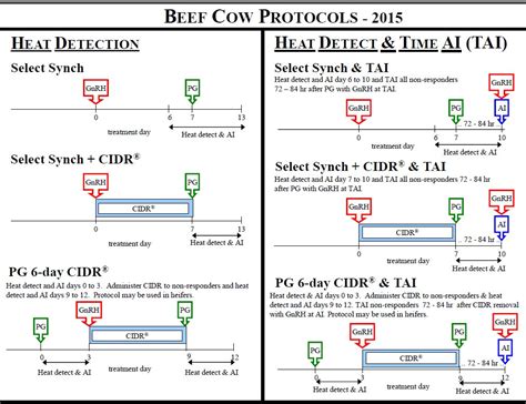 estrus synchronization considerations in beef herds announce