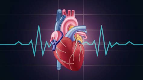 Demystifying Atrial Flutter Types Causes Symptoms Treatment And