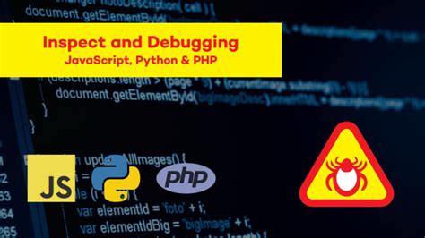 inspect and fix bugs in python javascript and php by mrfrayman fiverr