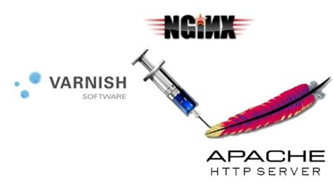 how to set nginx as reverse proxy on centos7 cpanel server