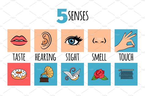 Five Senses Illustrations Illustrations ~ Creative Market