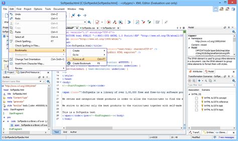 oxygen xml editor 21 04 datsitelitebella