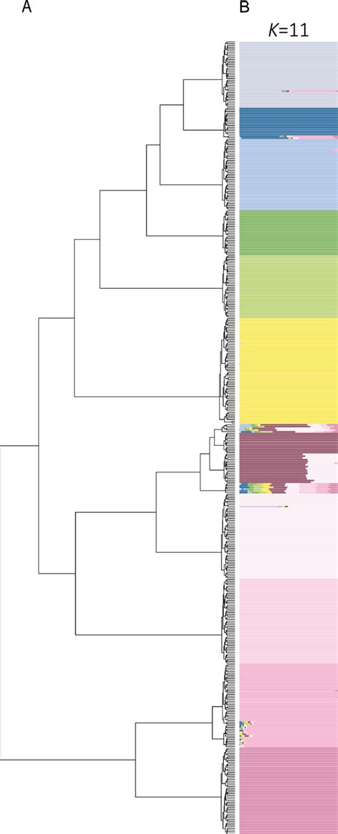 a highly flexible and repeatable genotyping method for