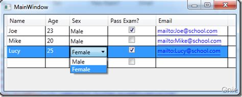 wpf 4 datagrid 控件（基本功能篇） 阿里云开发者社区
