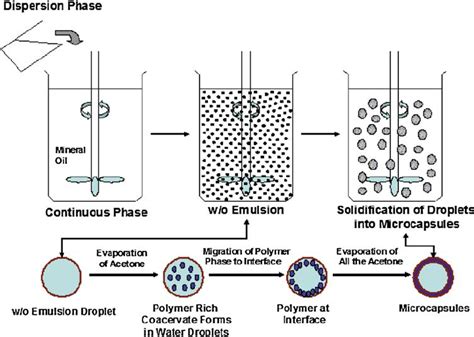 Schematic Illustration Of The Microencapsulation Ese Process Download