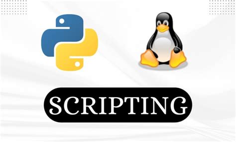 do any bash shell or python scripting assignments projects by zain425