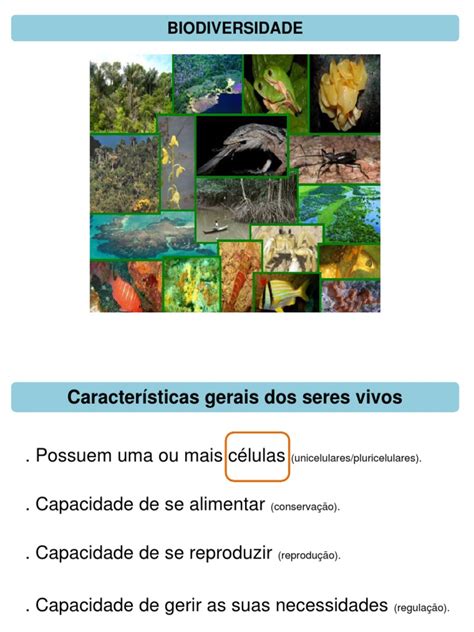 Características Gerais Dos Seres Vivos A Célula Como Unidade