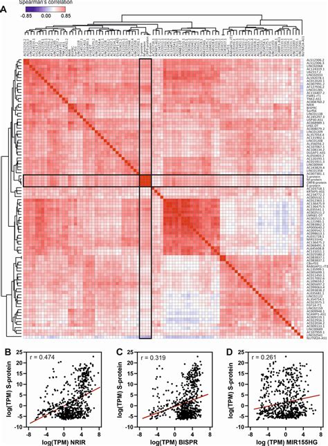 Spearmans Correlation Analysis Of The Top 90 Upregulated Lncrnas And