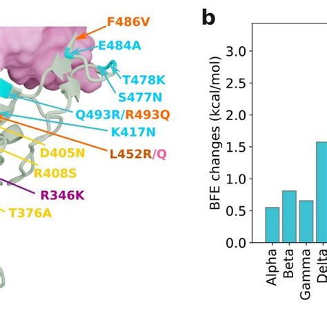 The Receptor Binding Domain Rbd Mutations Of Omicron Subvariants At
