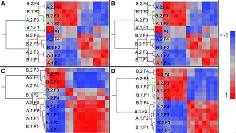 expression analysis of rna sequencing data from human neural and glial