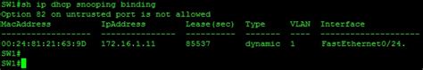 Ppt How To Configure Dhcp Snooping For Cisco Catalyst