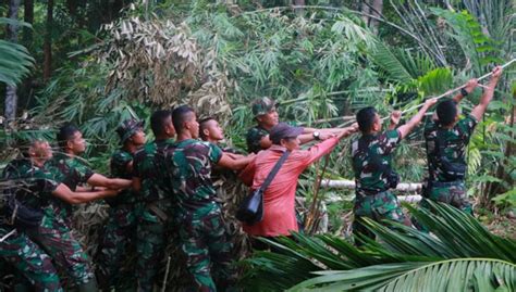 Satgas Tmmd 109 Bantu Masyarakat Tebang Pohon Times Indonesia