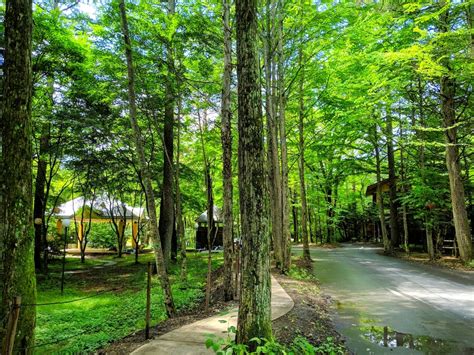 【長野県軽井沢町】移住希望者に人気の理由は？役立つ移住支援制度・補助金も紹介