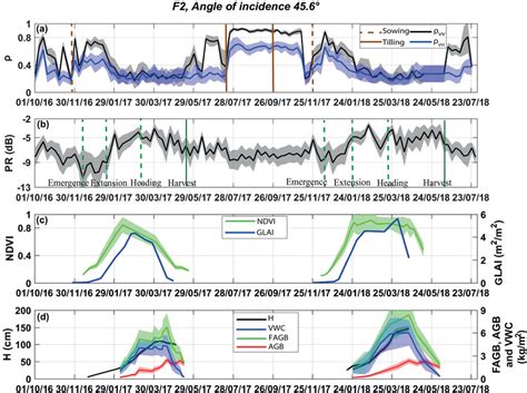 Time Series Of The Interferometric Coherence At Vv And Vh Polarizations