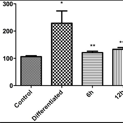 Pparγ Relative Gene Expression And Pparγ Western Blot Anal Pparγ
