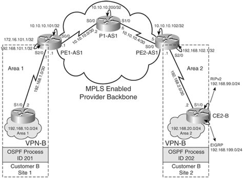 ospf pe ce routing protocol overview configuration and verification