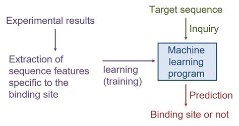 protein interaction predictions 東大農学部 生物情報工学研究室 バイオインフォマティクス