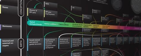 beyond xx and xy the extraordinary complexity of sex determination