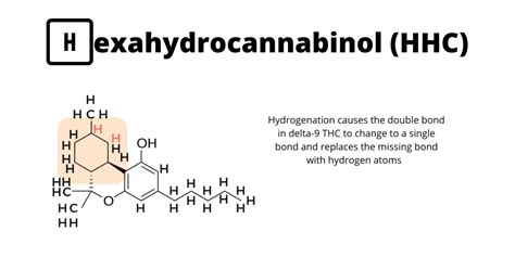 What Is Hhc How Does It Work And What Are The Benefits Cannabismo