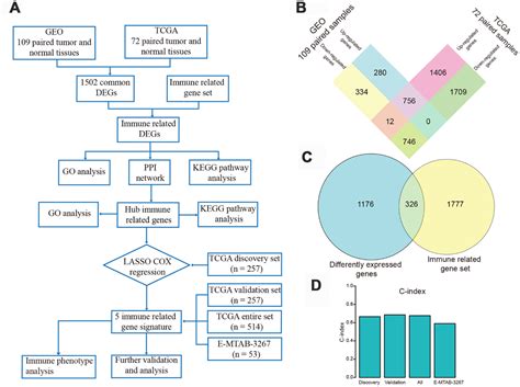 Identification Of An Immune Related Risk Signature For Predicting