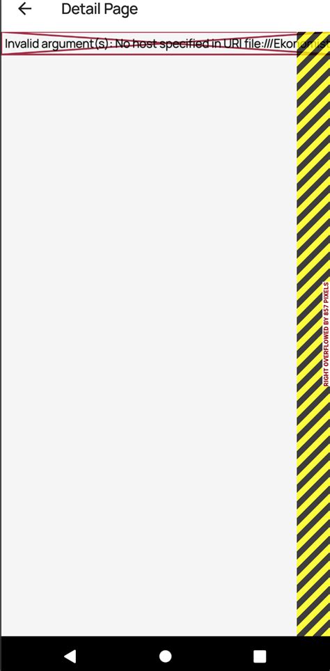 invalid argument s no host specified in uri file flutter api problem