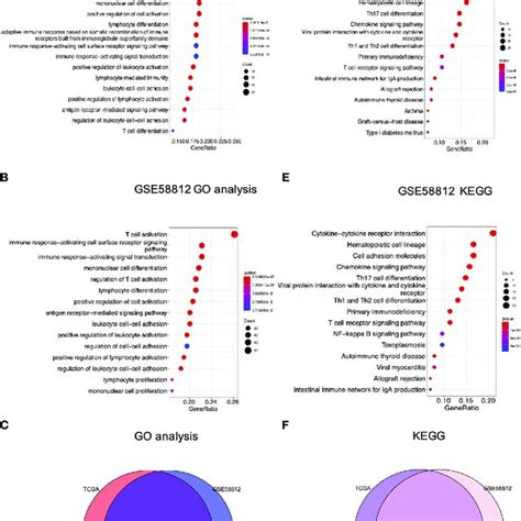 Go And Kegg Analyses Of The Prg Signature In Breast Cancer A Go