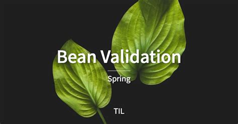 spring bean validation