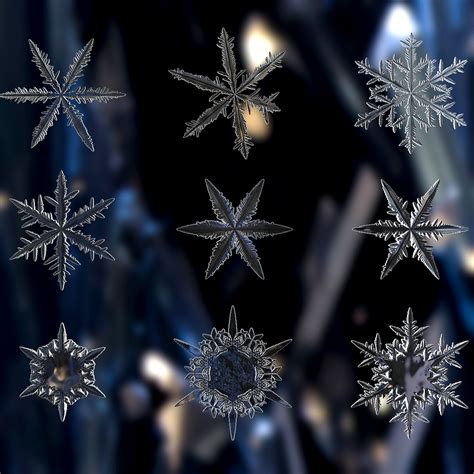 procedural snowflakes on behance
