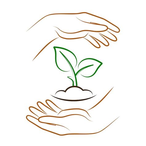 Mains Tenant Le Sol Avec Plante Signe Vectoriel Du Symbole De Concept D