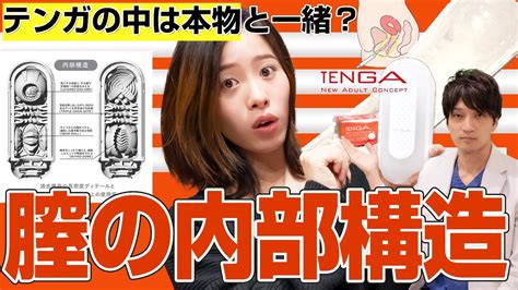 Tengaの内部構造を確認した結果 女性器と一緒？東大卒の名器の名医に聞いてみた。 Youtube