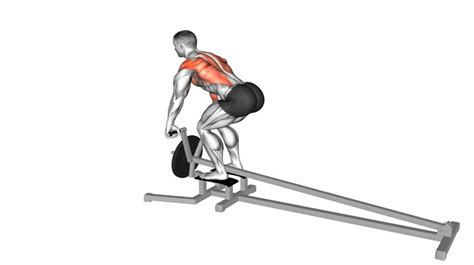 T Bar Row How To Instructions Proper Exercise Form And Tips Hevy