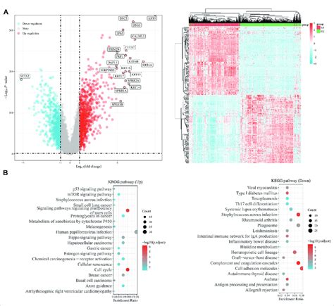 Function Enrichment Analysis Of Emt Clusters And The Identification Of