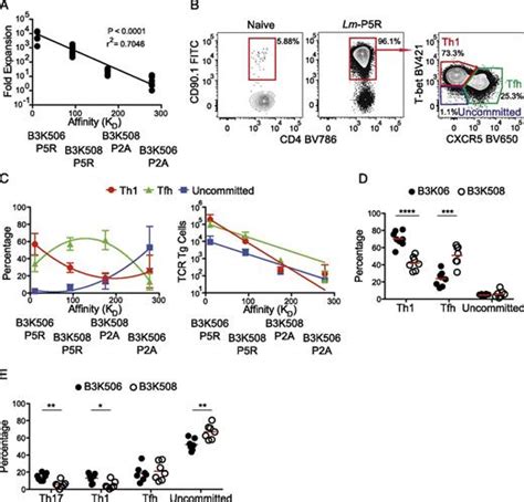Tcr Affinity Biases Th Cell Differentiation By Regulating Cd25 Eef1e1